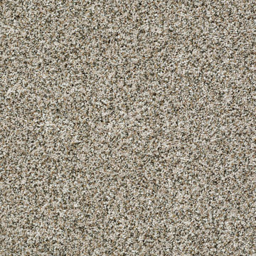 Flooring – Wall-to-Wall Carpeting – HOM Furniture