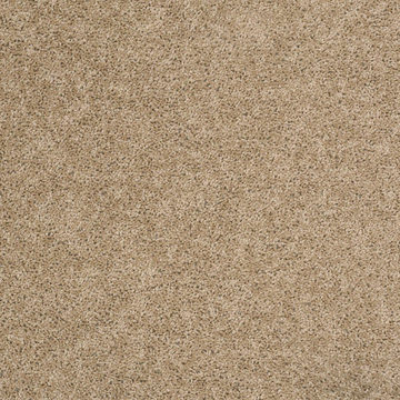 Flooring – Wall-to-Wall Carpeting – HOM Furniture