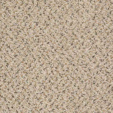 Flooring – Wall-to-Wall Carpeting – HOM Furniture
