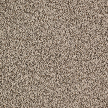 Designer Carpets & Fine Flooring – Patterns & More – Gabberts