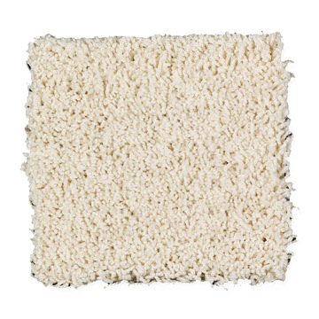 Mohawk Signature Carpeting – Fine Carpets – HOM Furniture