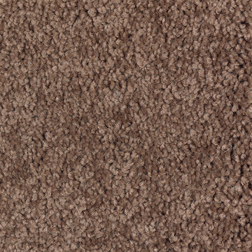 Mohawk Signature Carpeting – Fine Carpets – HOM Furniture