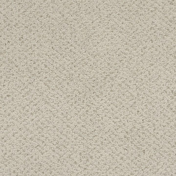 Shop Masland Carpet - HOM Furniture