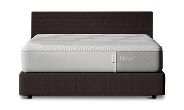 Famous Internet Beds - Mattresses - DOCK86